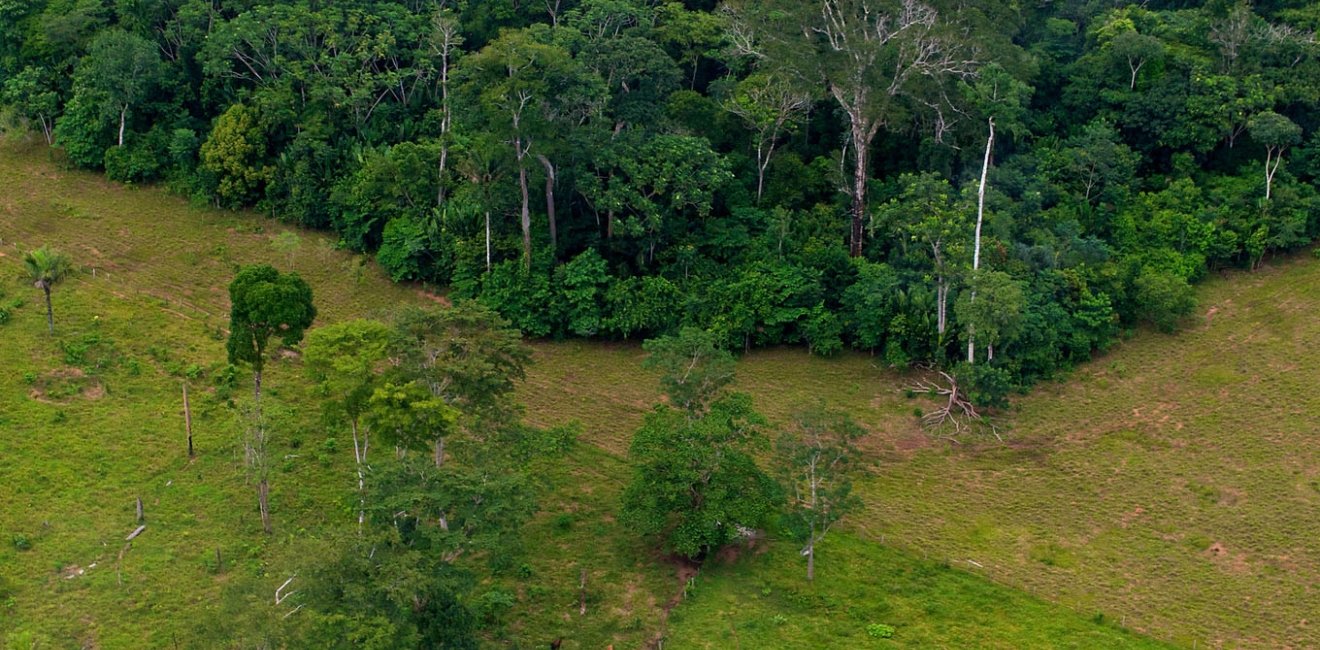 Amazon Approaches Deforestation Tipping Point | Wilson Center Amazon Approaches Deforestation Tipping Point | Wilson Center