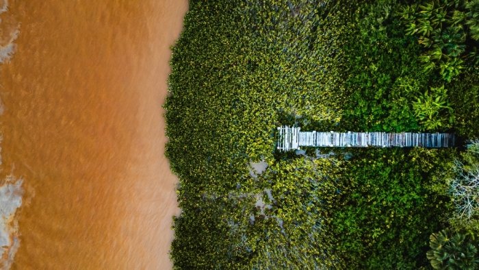 Mexico's 2024 Public Debt Surge: Defying Prudence. A Cause for Concern ...