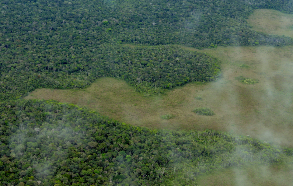 Amazon Tipping Point | Wilson Center