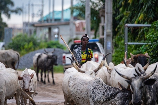 Farmers-Herders Conflicts in Nigeria: A Role for FBOs? | Wilson Center