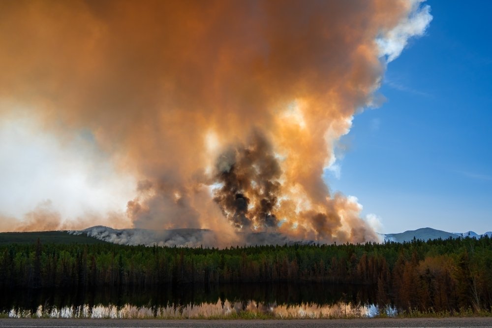 Where There's Smoke: Early Warnings from Canada’s 2024 Wildfire Season ...