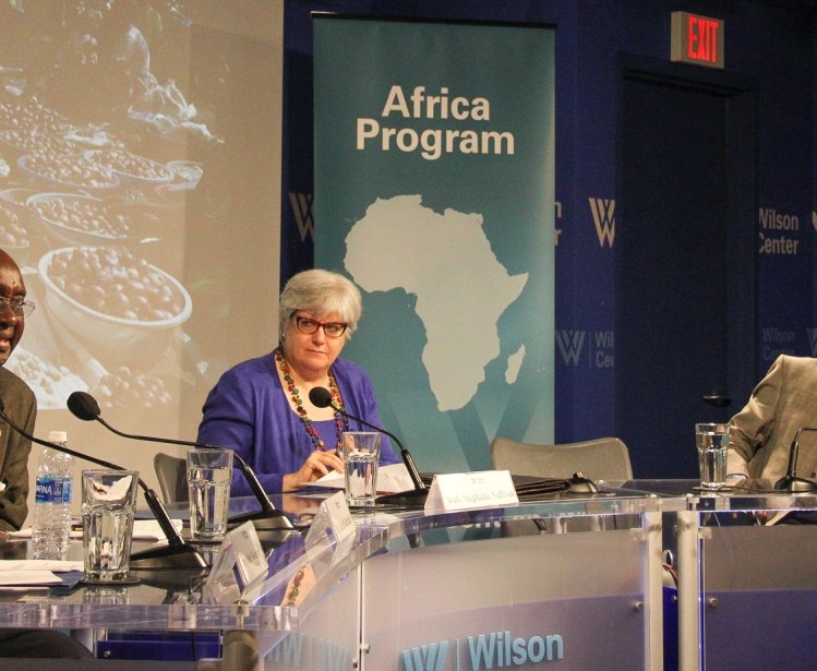 H.E. Dr. Arikana Chihombori-Quao | Wilson Center H.E. Dr. Arikana Chihombori-Quao | Wilson Center