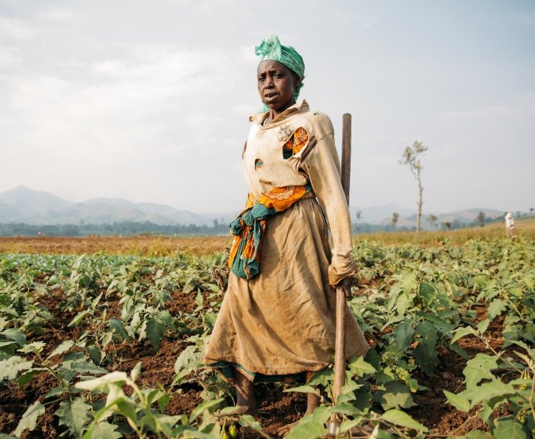 Rod Snider | Wilson Center