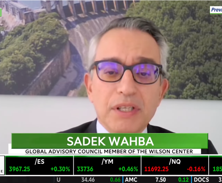 Sadek Wahba | Wilson Center