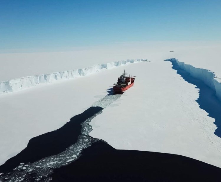 Dr. Rebecca Pincus | Wilson Center