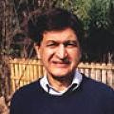 Krishan Kumar | Wilson Center