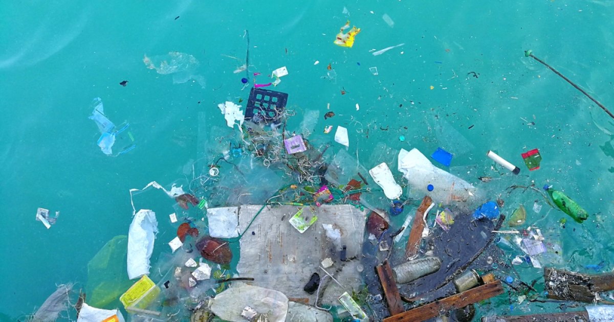 Citizen Science and Data Integration for Understanding Marine Litter ...