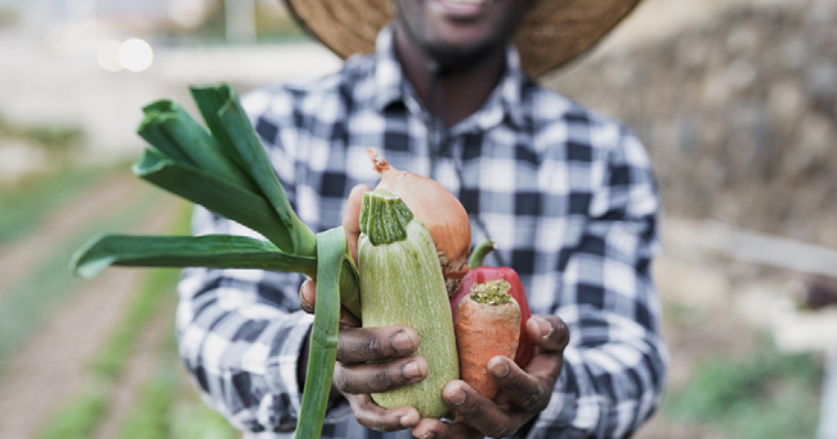 Land Reform in South Africa: How Can the U.S. Respond? | Wilson Center