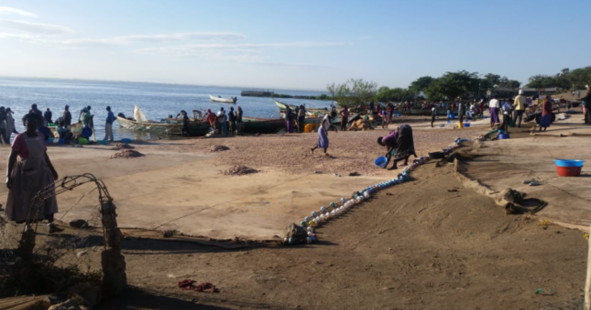 Fishing for Equity and Inclusion: Women’s Socioeconomic Factors in ...