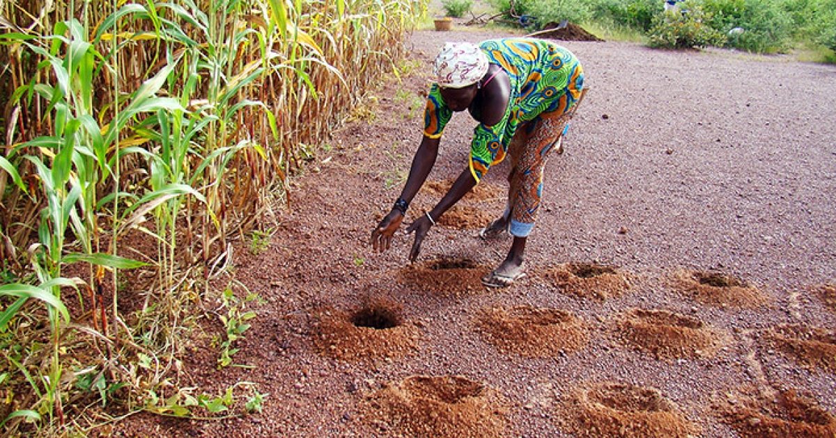 Finding Long-Term Solutions to the Food Crisis in Africa: How Can ...