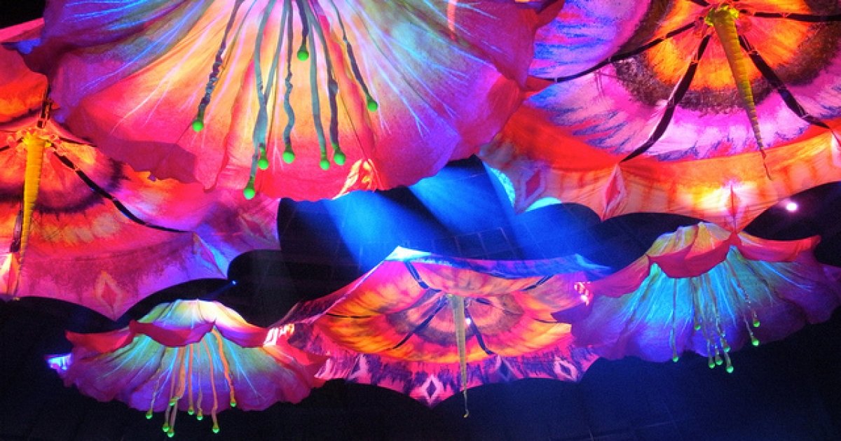 The Cirque Comes to Town: Learning about Culture and Cities from ...