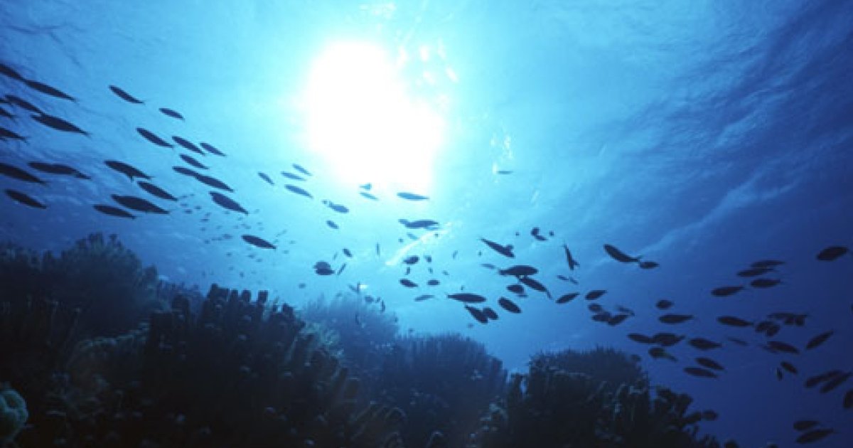 The State of the Oceans 2013: Acidification, Overfishing Major Threats ...