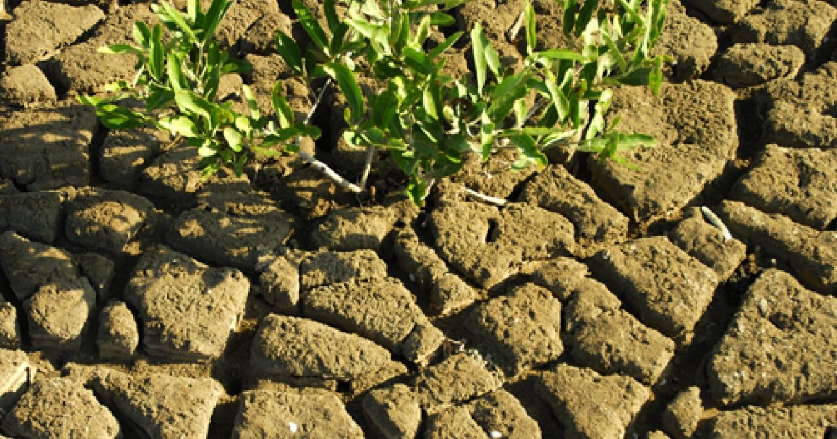 Climate Change and Extreme Weather: Impacts on Public Health and ...