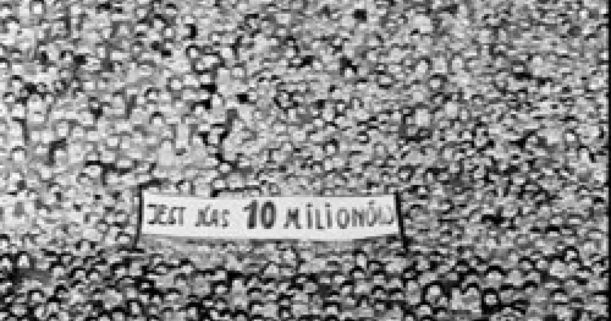 The Phenomenon of Solidarity: Pictures From the History of Poland, 1980 ...