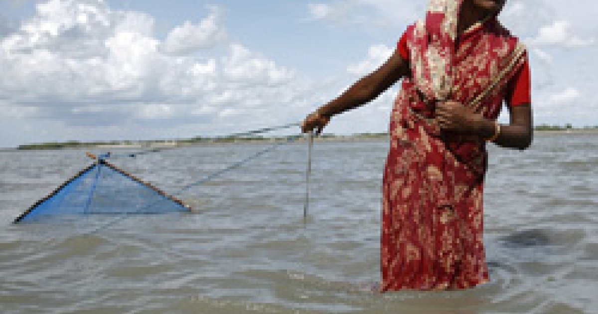 Perfect Storm? Population Pressures, Natural Resource Constraints, and ...