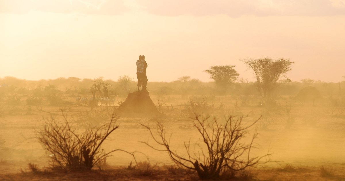 Insights on Ending Famines, Creating Food Security, and Fostering ...