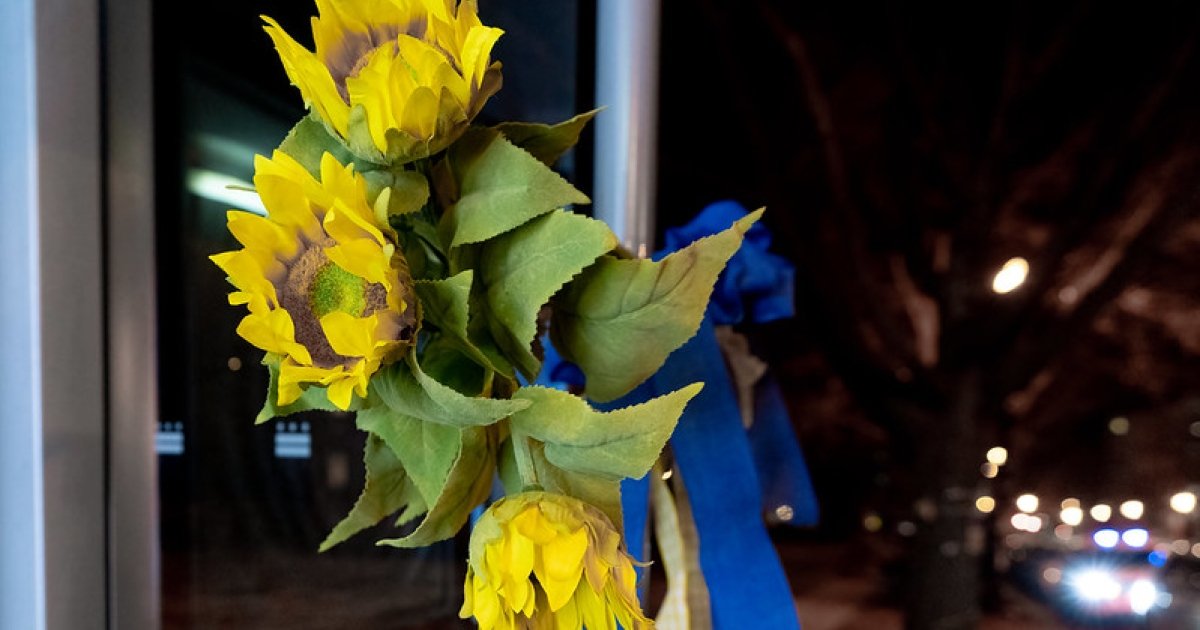 Ukrainian Resilience: Ukrainian MP Kira Rudik Discusses Surviving in ...