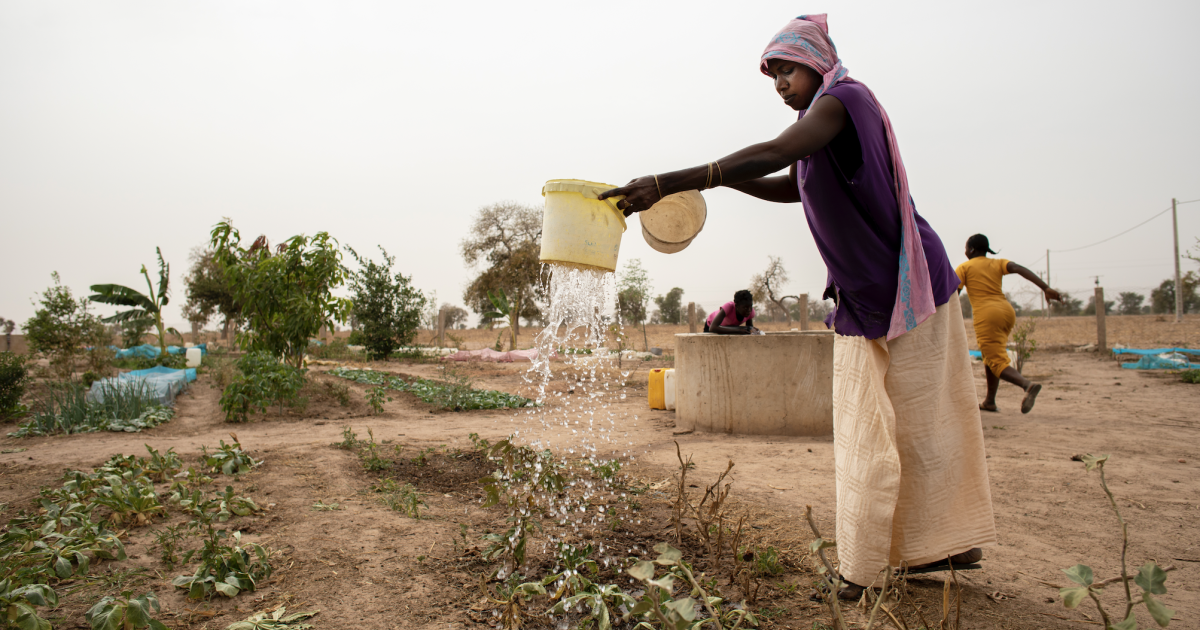 Out of Place, Out of Time: The Experience of Senegal’s Migratory ...