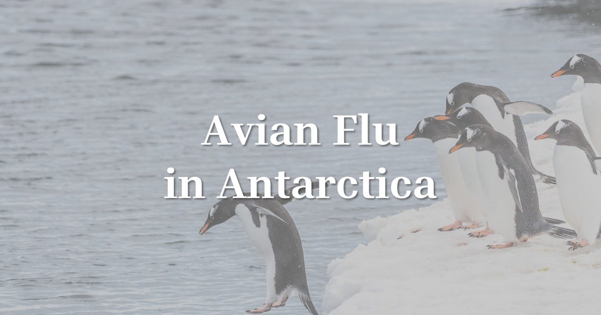 Avian Flu in Antarctica | Wilson Center