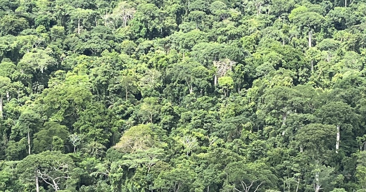 It isn’t a route, it’s a jungle. | Wilson Center