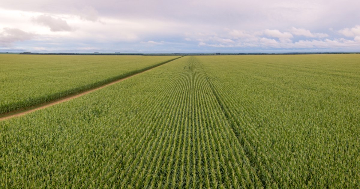 Brazil and the United States: Partners for a Sustainable Future ...