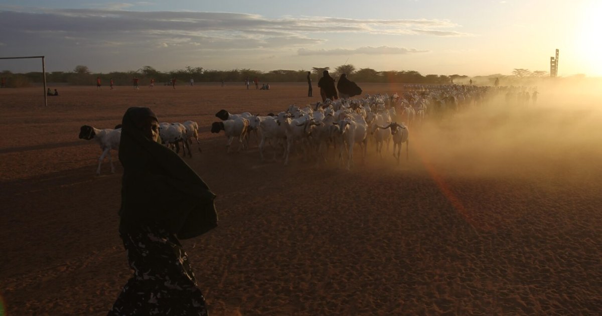 Long Term Climate Resilience: A Pathway to Stabilize Somalia | Wilson ...