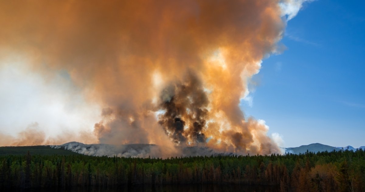 Where There's Smoke: Early Warnings from Canada’s 2024 Wildfire Season ...