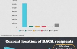 Infographic | DACA Recipient Demographics | Wilson Center
