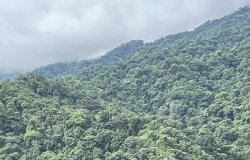 Through the Darién Gap: A New Path for Chinese Asylum Seekers to the ...